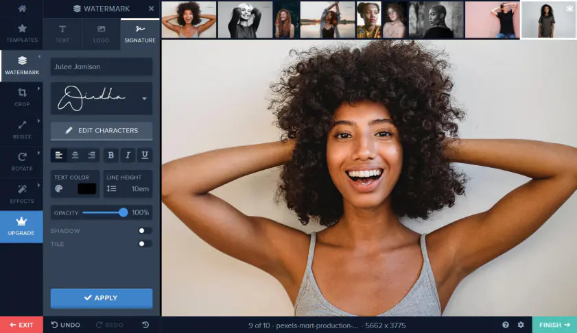 15 Best Free Watermark Software and Apps in 2024 – Movavi